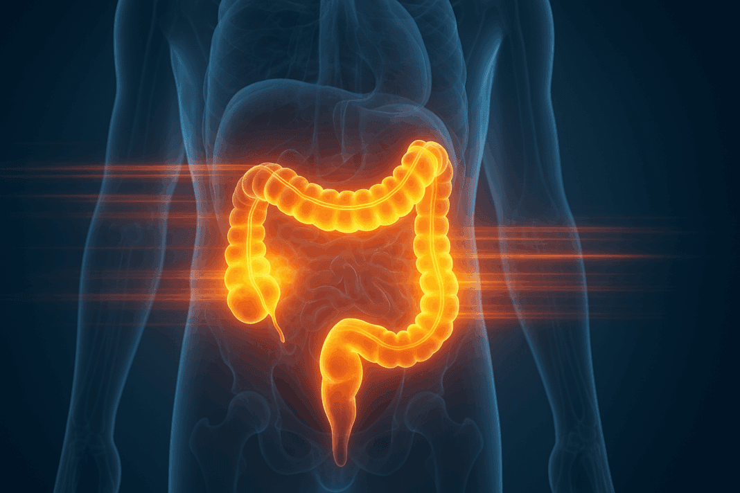 Nervous Poop: How to Stop Anxiety Bowel Urgency Fast